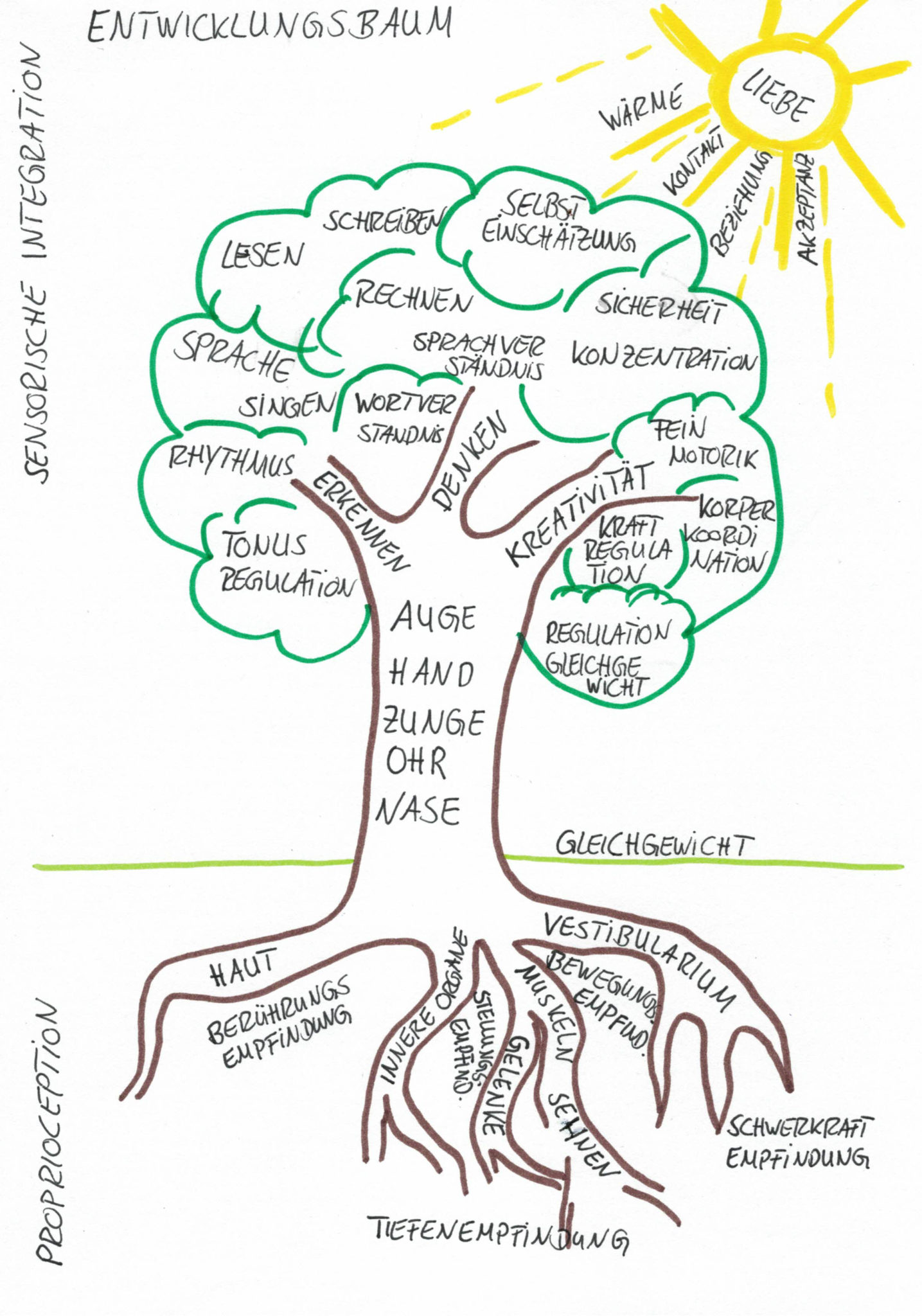 SI (sensorische Integration) – Ergotherapie Traulle